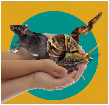 Summer Holiday Activities