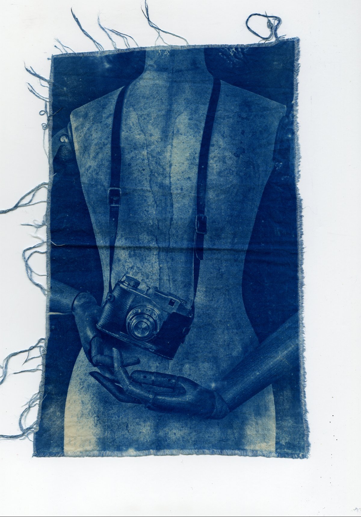 Introduction to Cyanotype